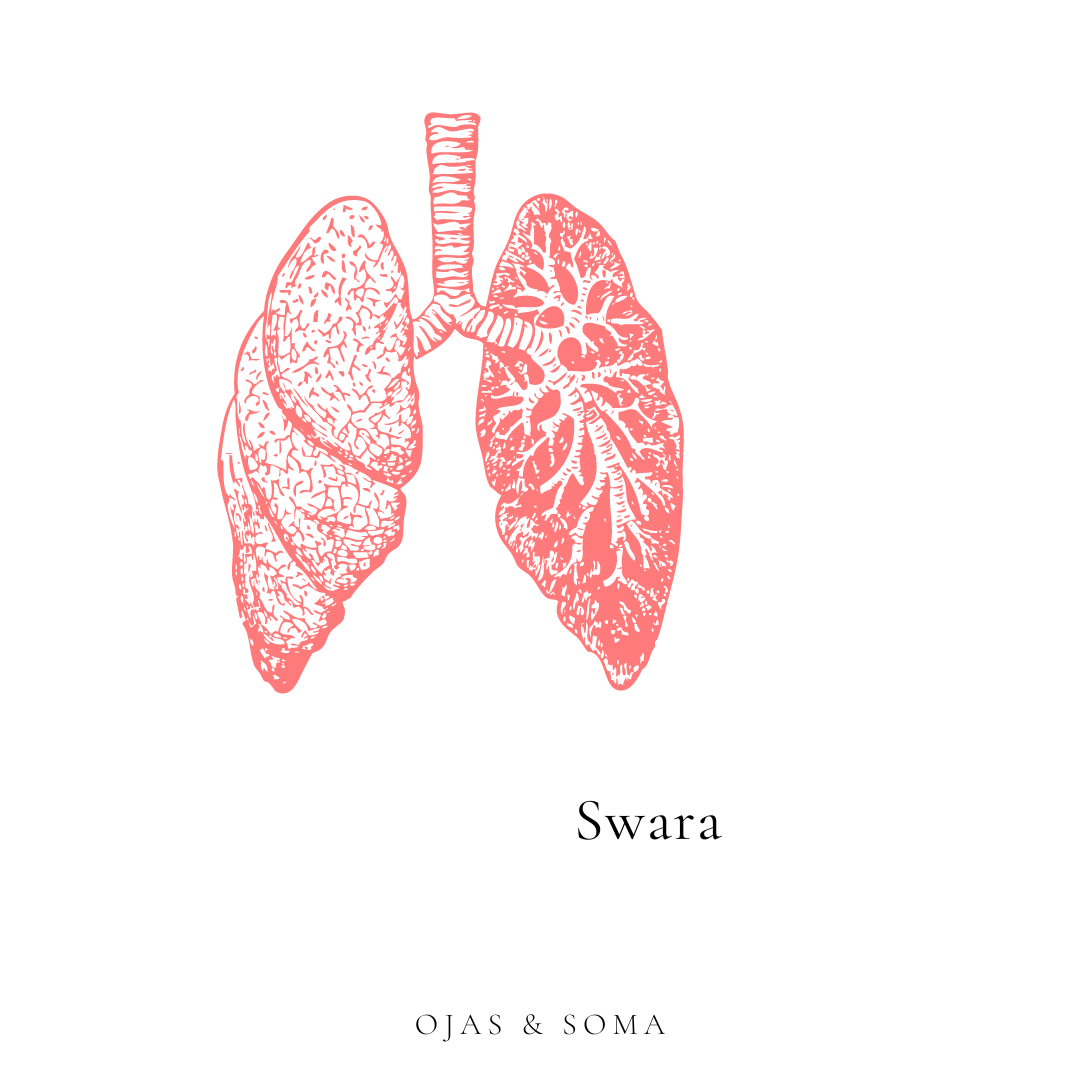 Swara & Prana