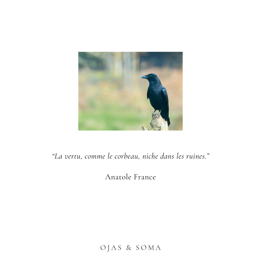 Le corbeau